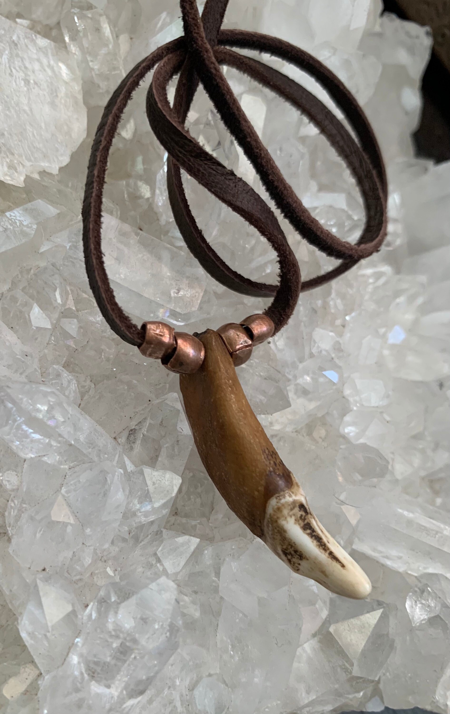 Wolf Tooth Necklace on a Dark Brown Deerskin Cord, Wolf Necklace, Wolf ...