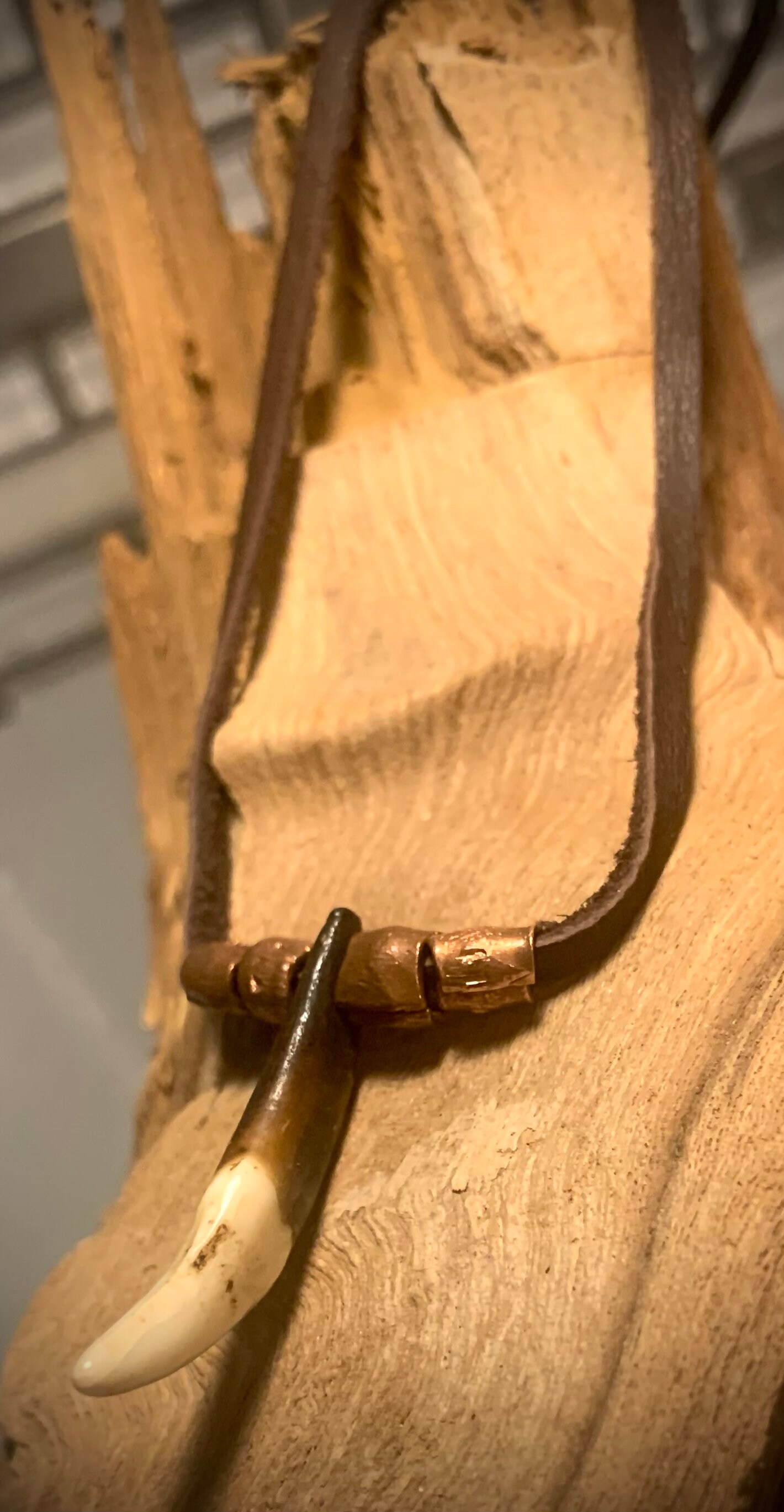 Wolf Tooth Necklace on a Dark Brown Deerskin Cord, Wolf Necklace, Wolf ...
