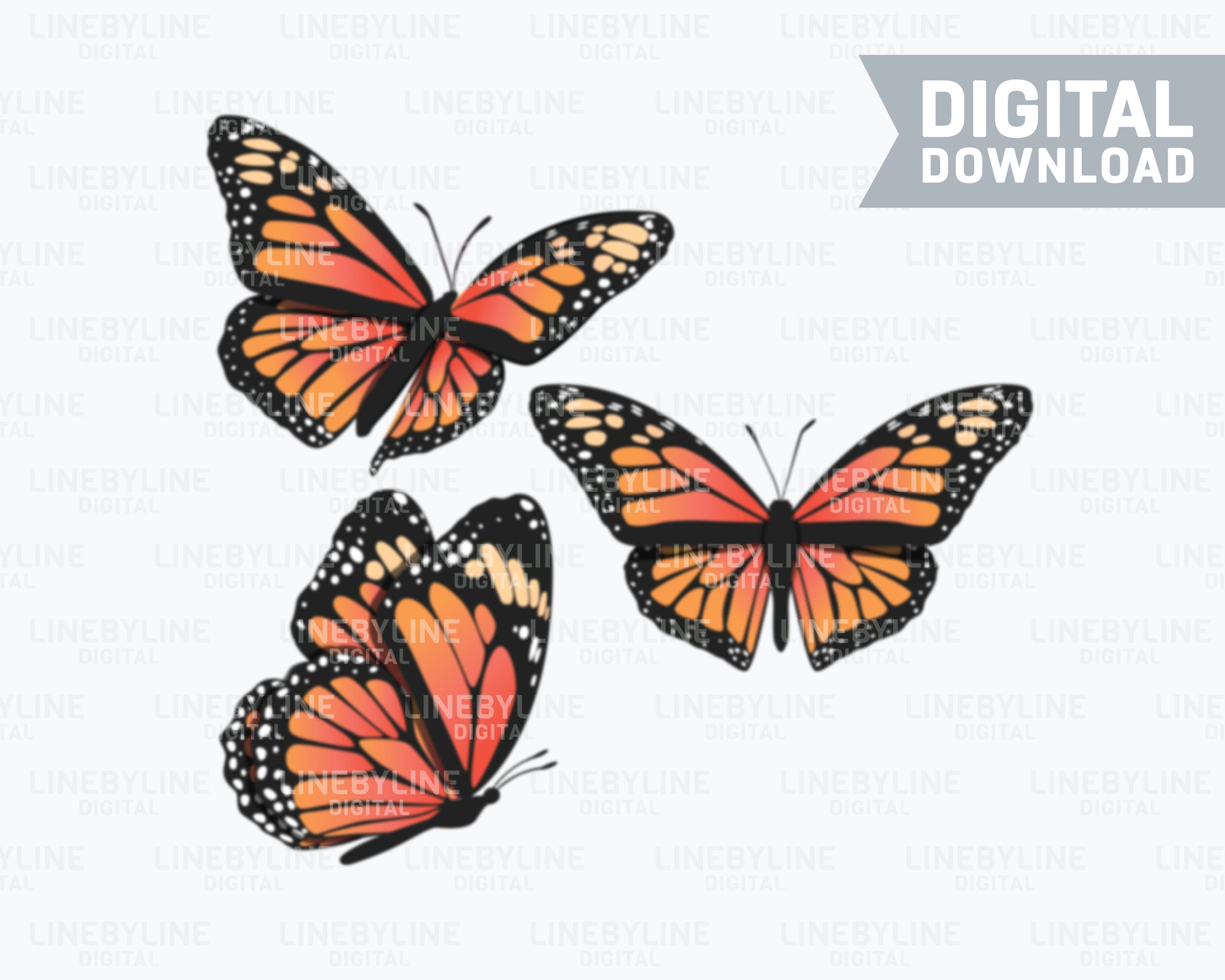 Monarch Butterflies, Butterfly Graphic, Butterfly Vector, Butterfly Art ...