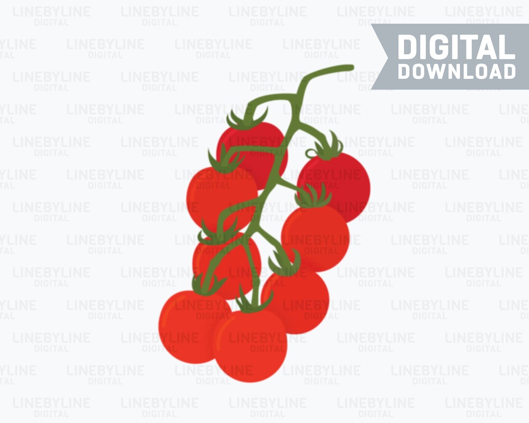 Tomato Vine SVG, Tomato PNG, Tomato EPS, Tomato, Tomato Vine Svg, Cherry Tomato Eps - Digital ...