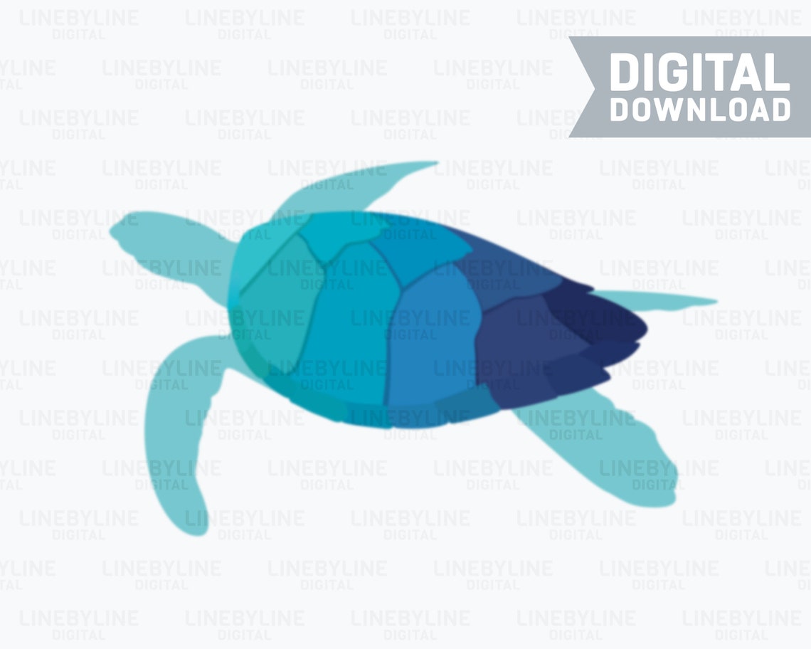 Turtle Art Turtle Graphic Turtle Illustration Sea Turtle - Etsy
