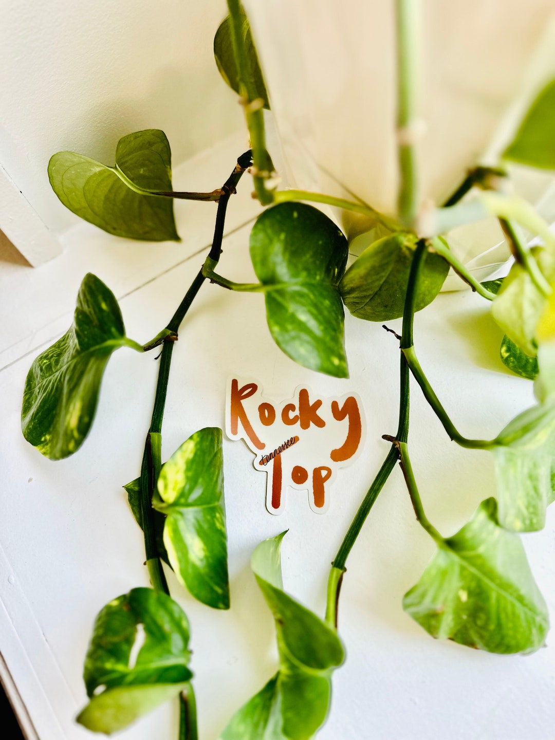 Rocky Top Sticker - Etsy