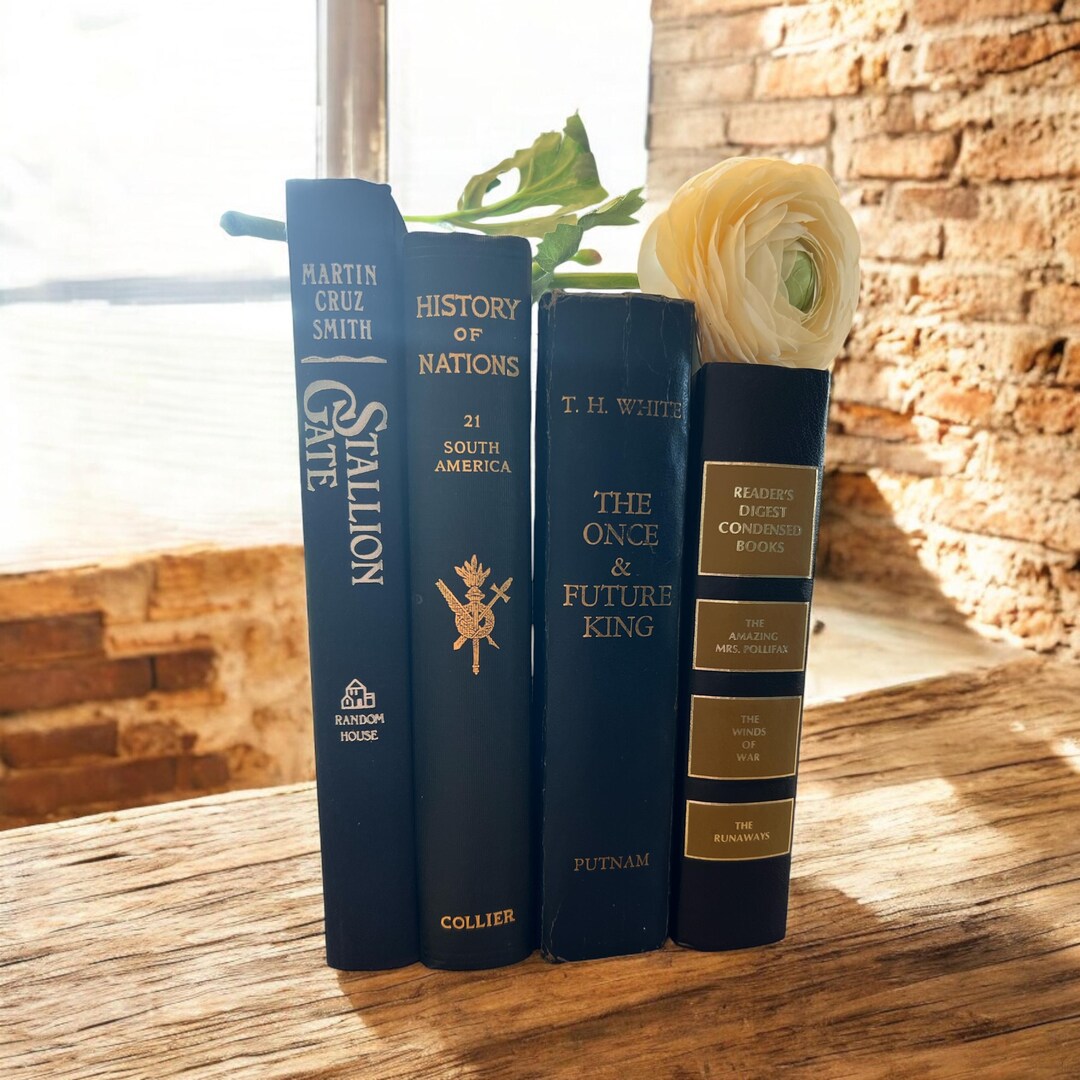 Blue Book Set, Blue Book Stack, Blue Books for Decor, Vintage Book ...