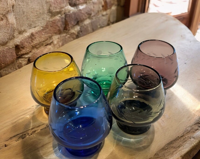 Vintage Shot Glass Set of 5 Etched Multicolored Mini Floral Cordial ...