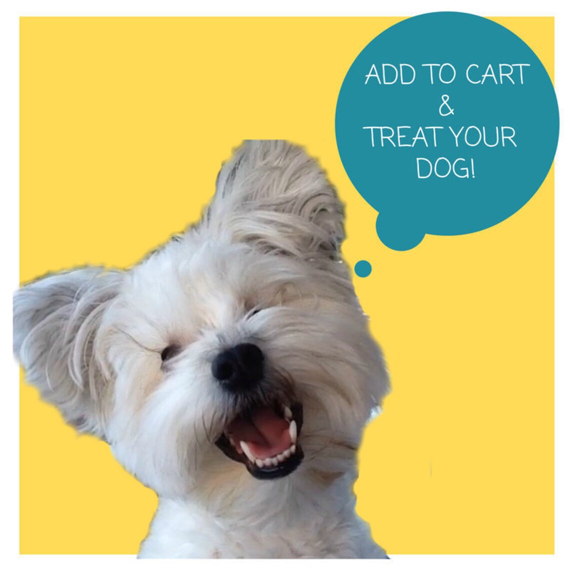 Black Dog Bone Fabric Collar - Boy Male - Pet - Gift for Dog - Etsy