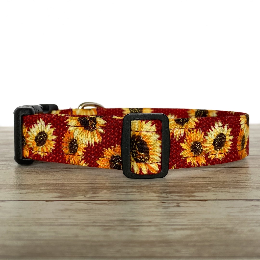 Sunflower Dog Collar Fall Dog Collar Girl Dog Collar Floral Dog Collar ...