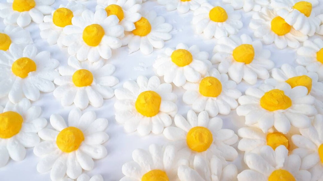 Royal Icing Daisies: White Flowers, Yellow Centers - 1 Dozen - Etsy