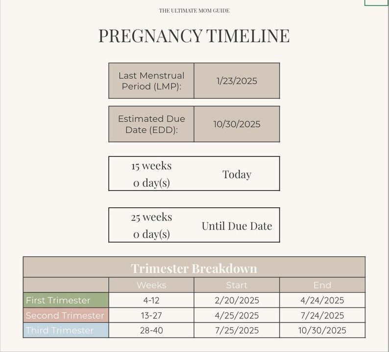 Pregnancy Timeline Spreadsheet | Digital Pregnancy Planner | Trimester ...