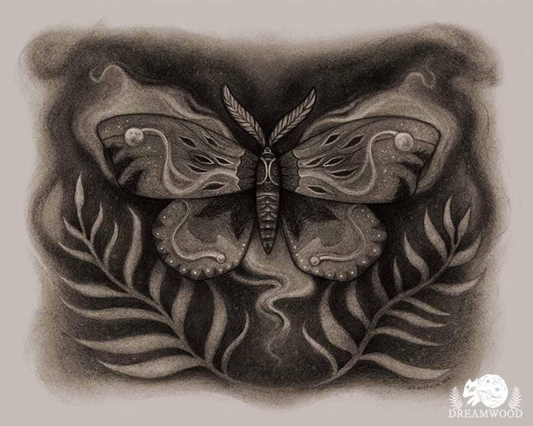Mystic Moth // Full Moon Mirrored Forest and Ferns // Archival Matte 8 ...