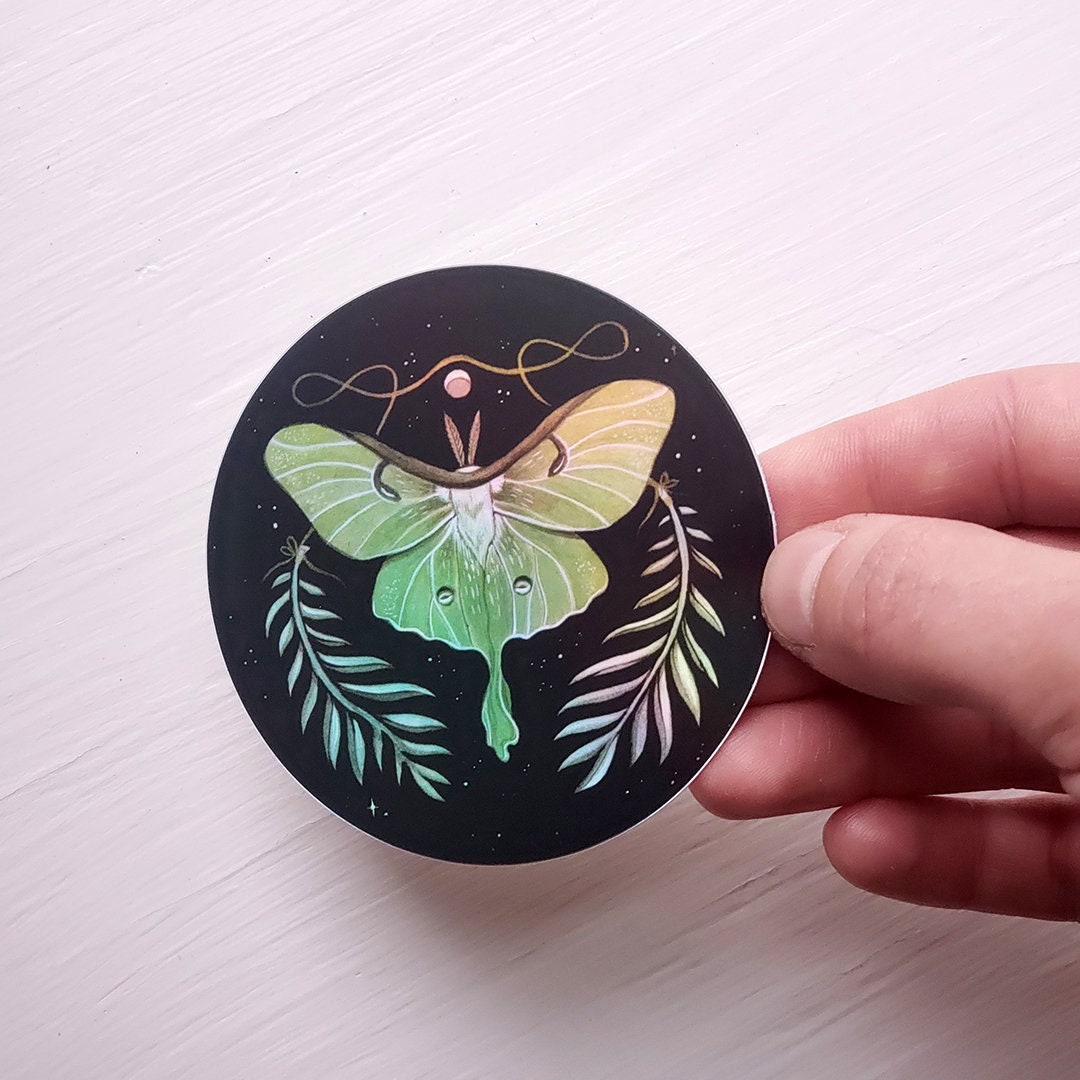 Rainbow Holographic Luna Moth Sticker - Etsy
