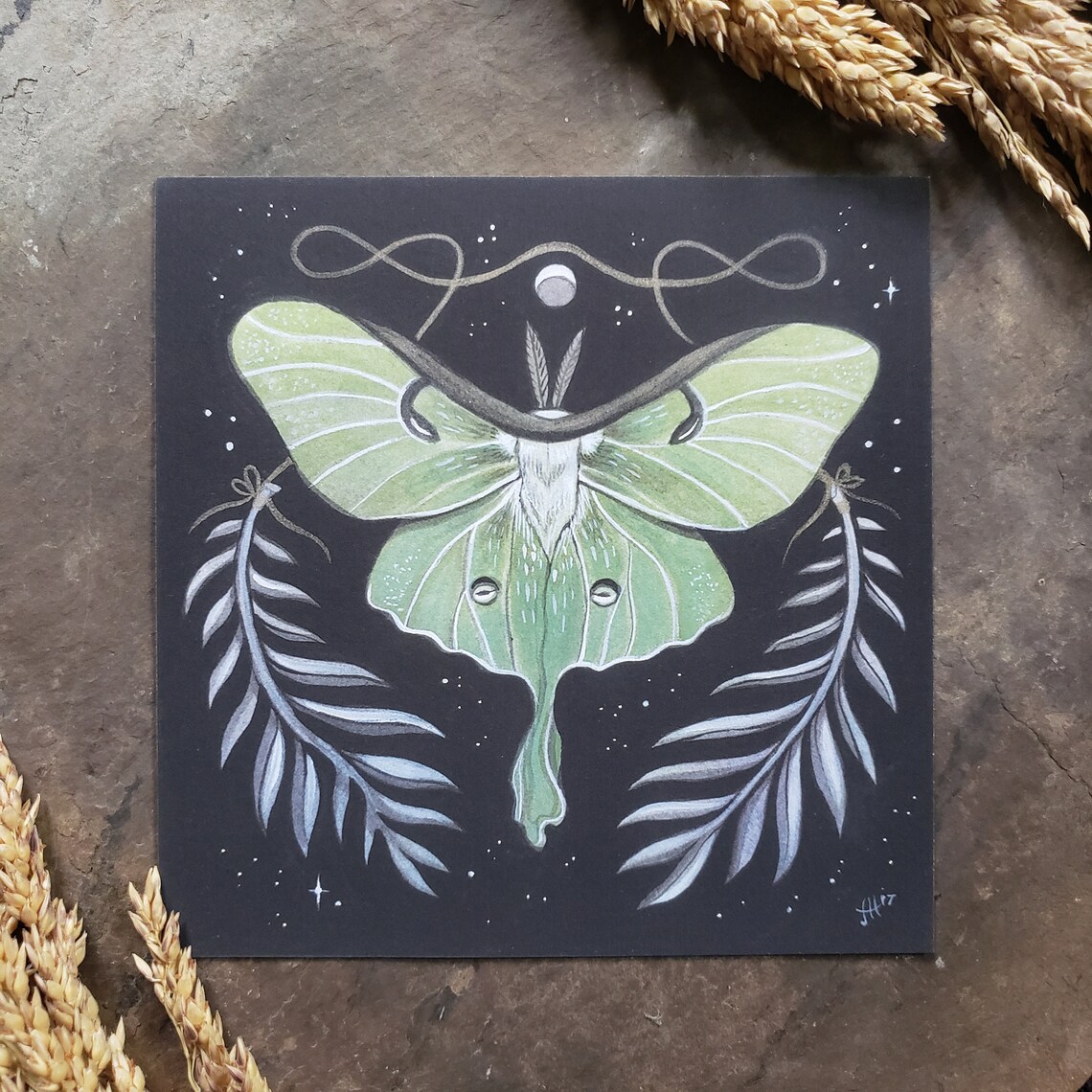Luna Moth Illustration // 5 X 5 Cute Archival Print // Art Gift ...