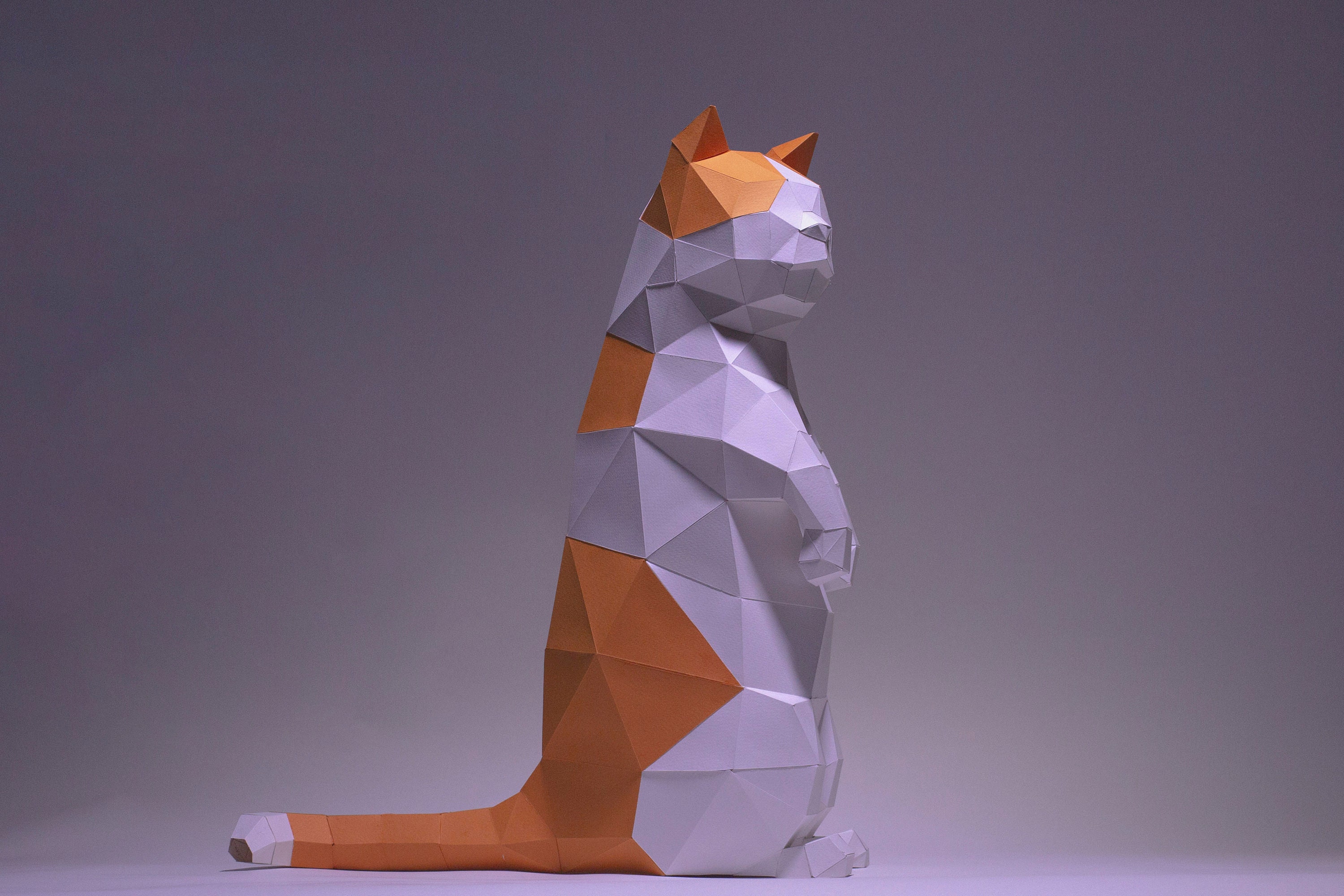 Munchkin Cats walking and Stand Up Paper Craft Digital | Etsy