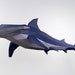 Hammerhead Shark Papercraft, 3D Papercraft, Build Your Own Low Poly ...