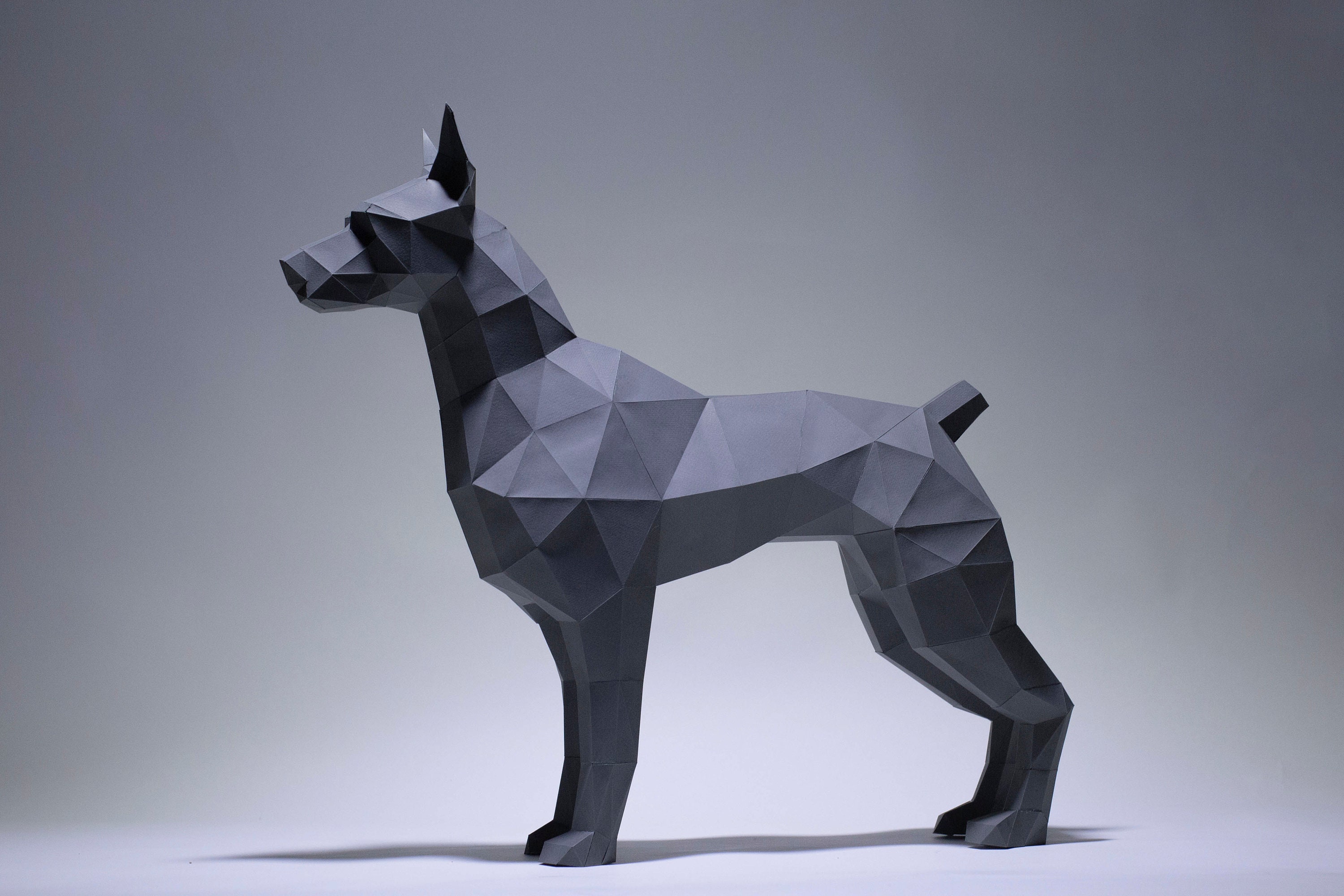Doberman Stand & Sit Papercraft Perro low poly papercraft - Etsy México