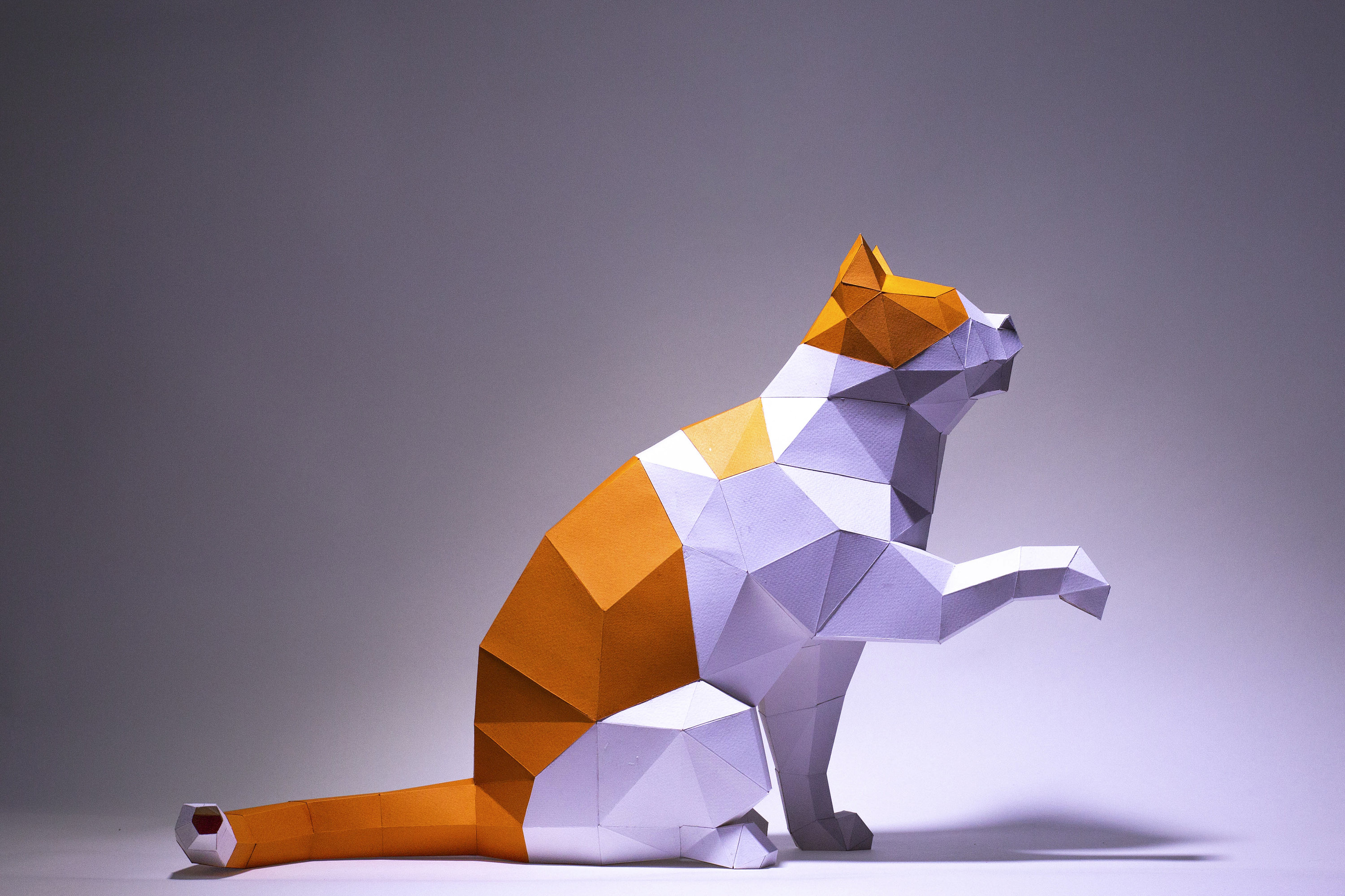 Papercraft Cat PDF Template , DIY Low Poly Papercraft, Make Real 3D ...