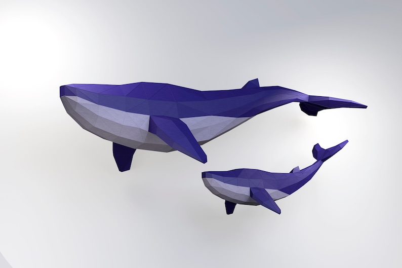 Whale Model, Low Poly Whale, Whale Sculpture, Create Your Own 3D ...