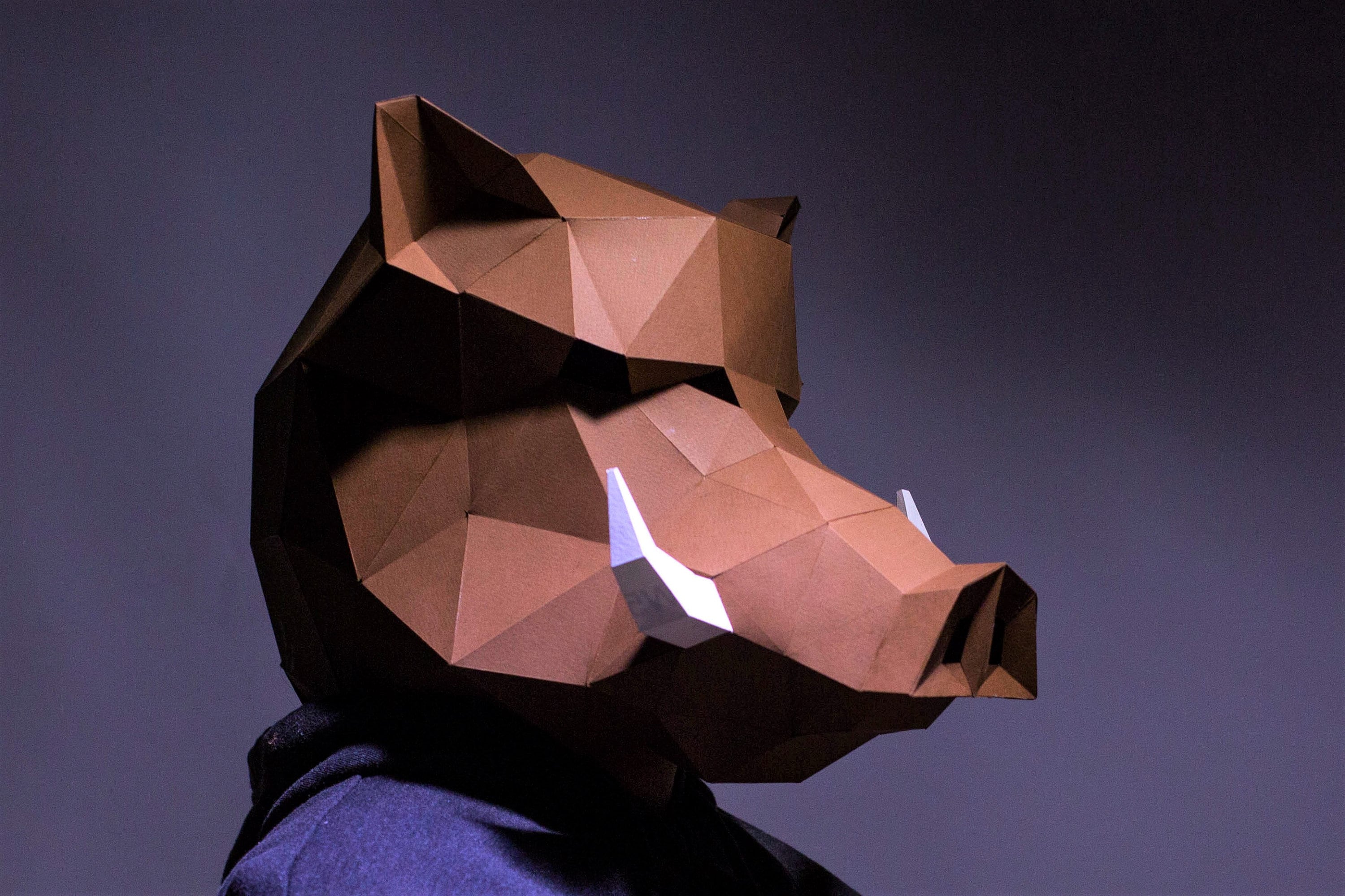 Wild Boar Mask, Papercraft Mask Template, Origami, PDF Download DIY ...