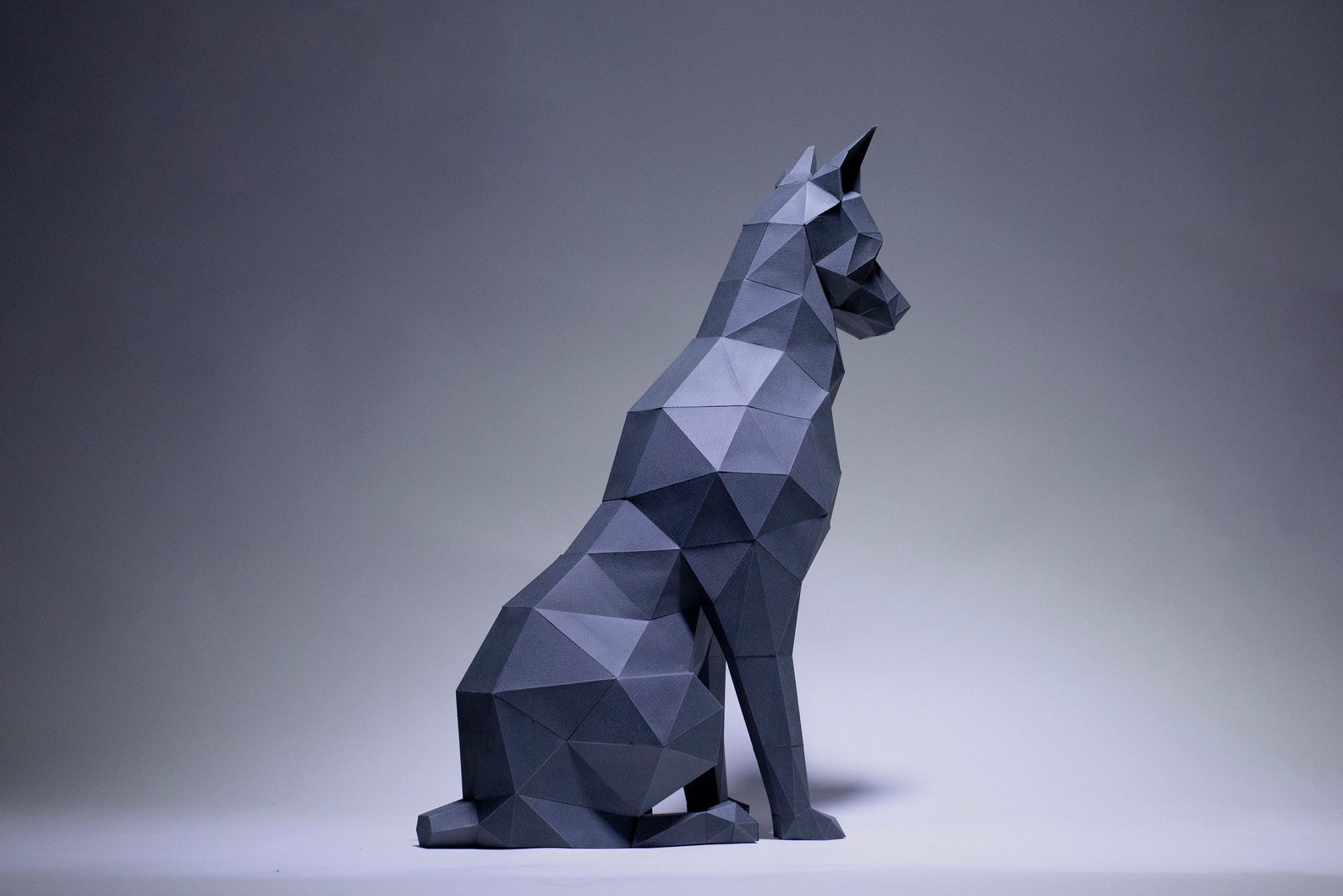 Doberman Stand & Sit Papercraft Perro low poly papercraft - Etsy México