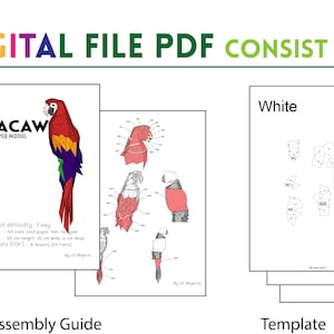 Macaw Wall Paper Craft, Digital Template, Origami, PDF Download DIY ...