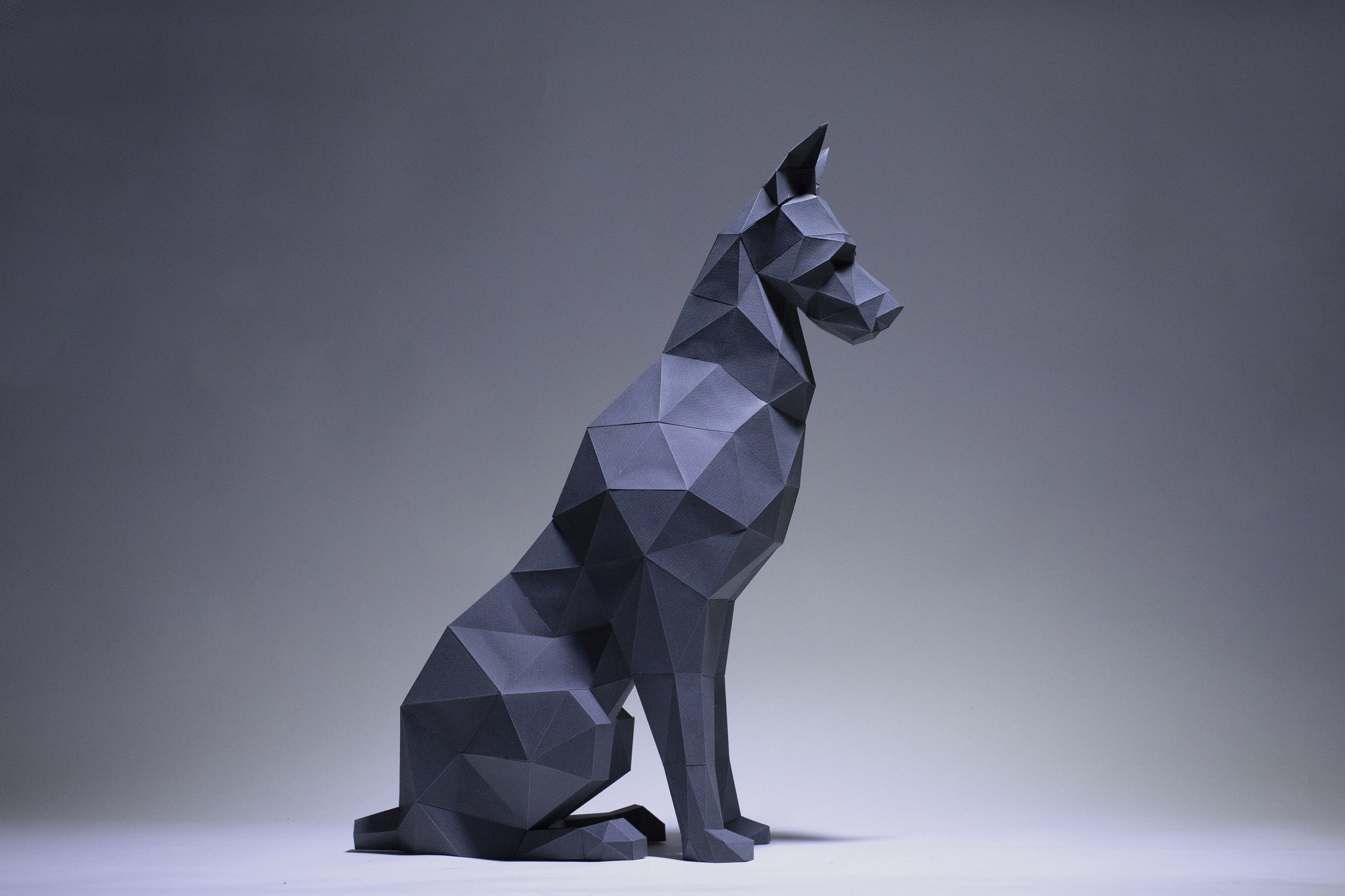 Doberman Sit Papercraft Dog Low Poly Papercraft Papercraft - Etsy