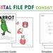 Parrot Green Paper Craft, Digital Template, Origami, PDF Download DIY ...