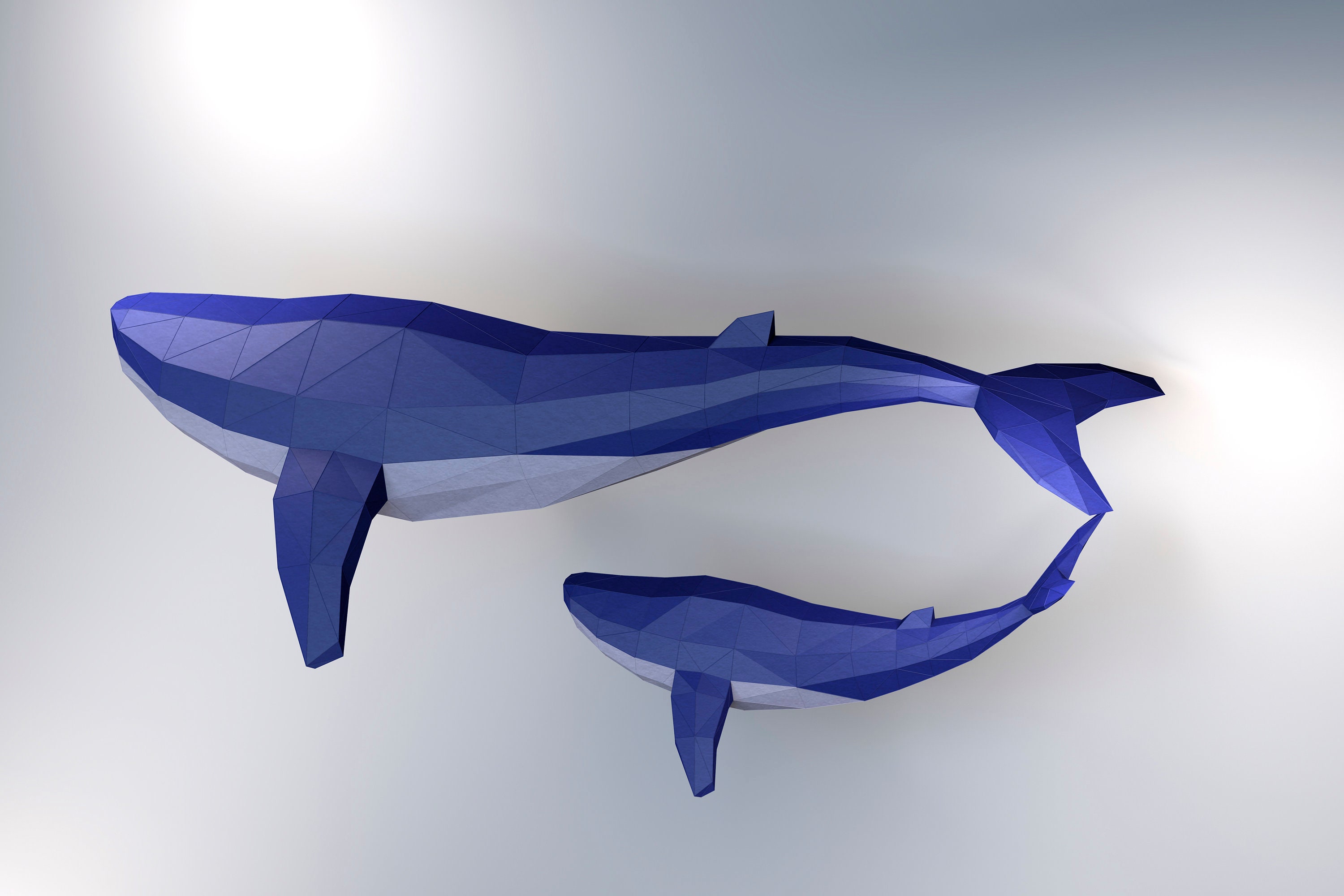 Whale Model, Low Poly Whale, Whale Sculpture, Create Your Own 3D ...