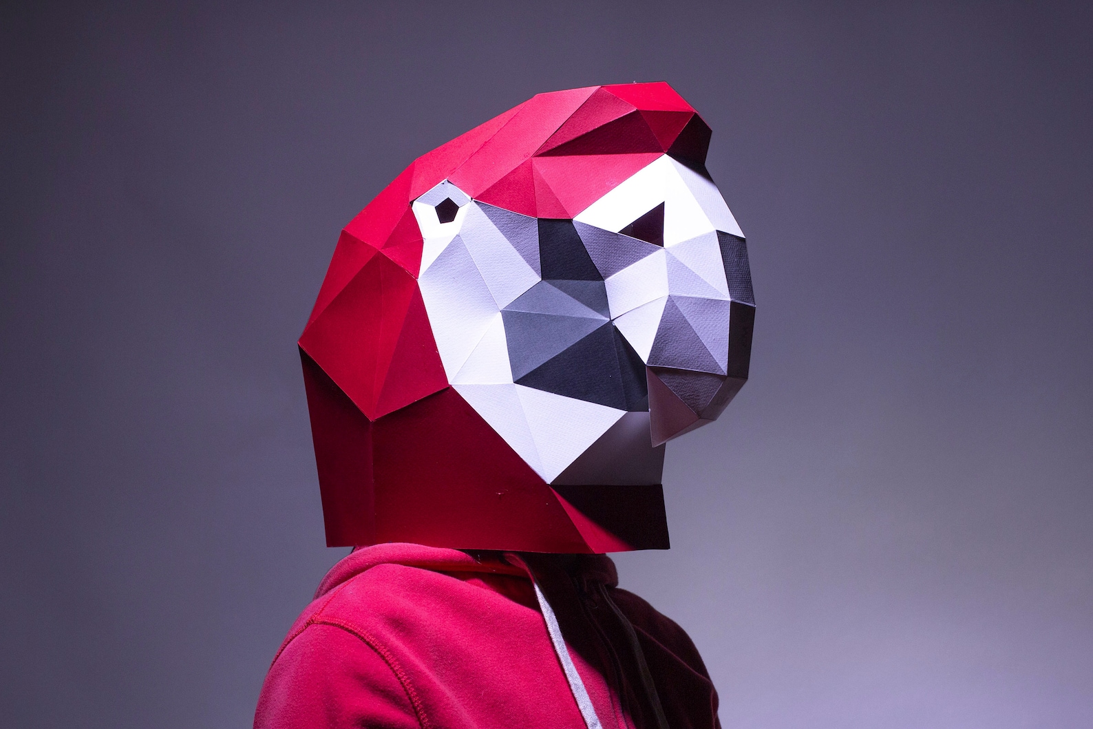Macaw Mask, Parrot Mask, Mask Paper Craft, Digital Template, Origami ...