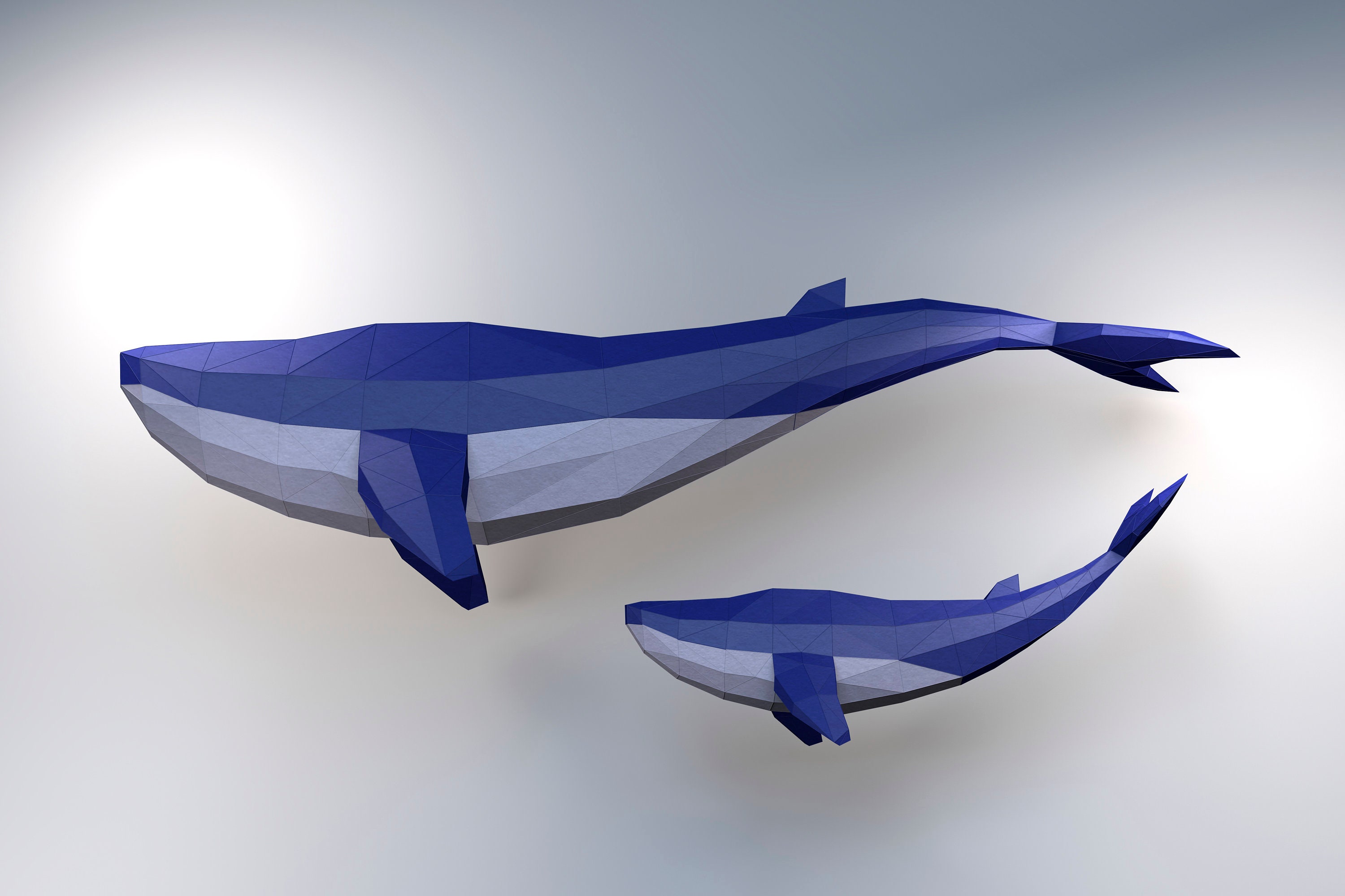 Whale Model, Low Poly Whale, Whale Sculpture, Create Your Own 3D ...