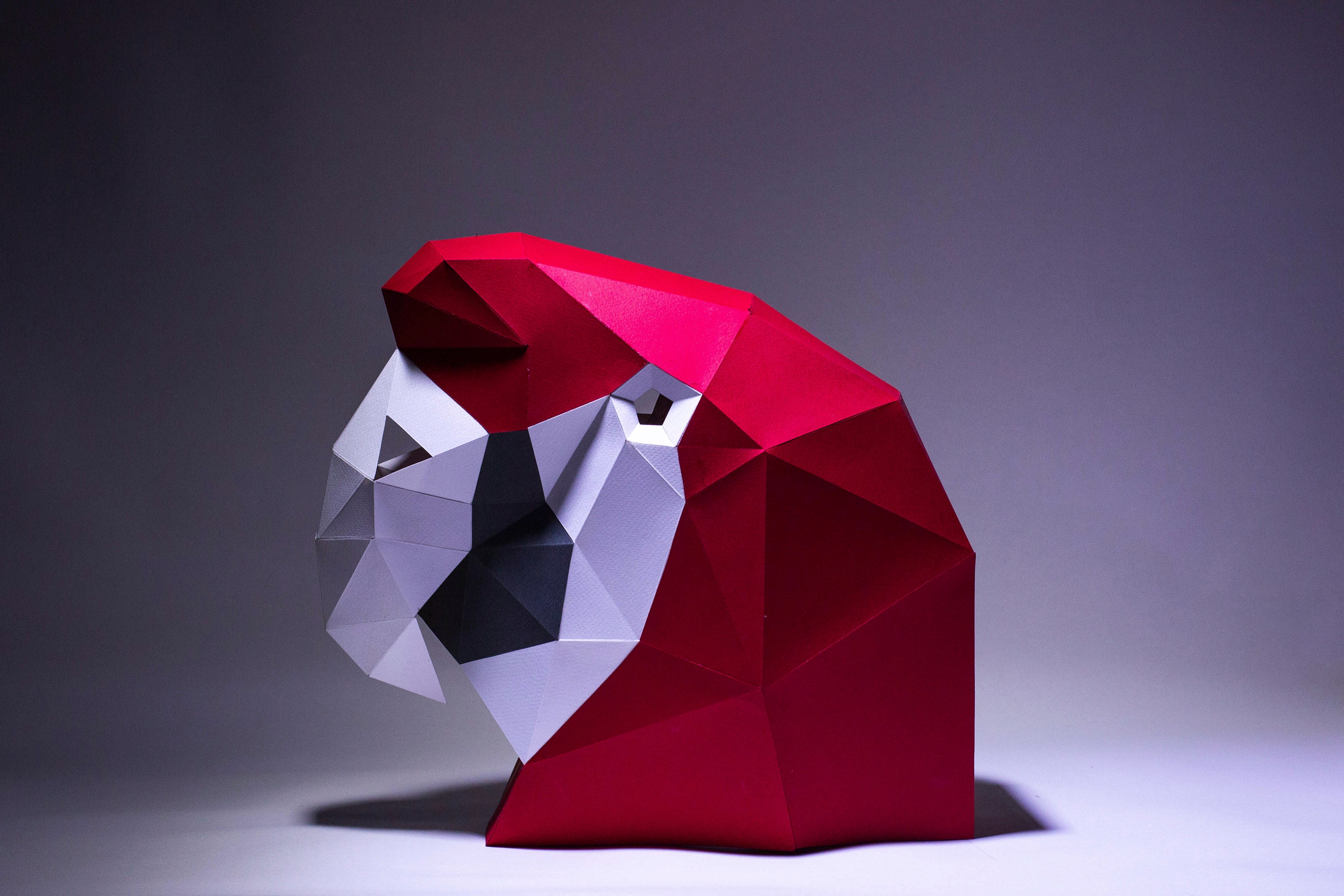 Macaw Mask, Parrot Mask, Mask Paper Craft, Digital Template, Origami ...