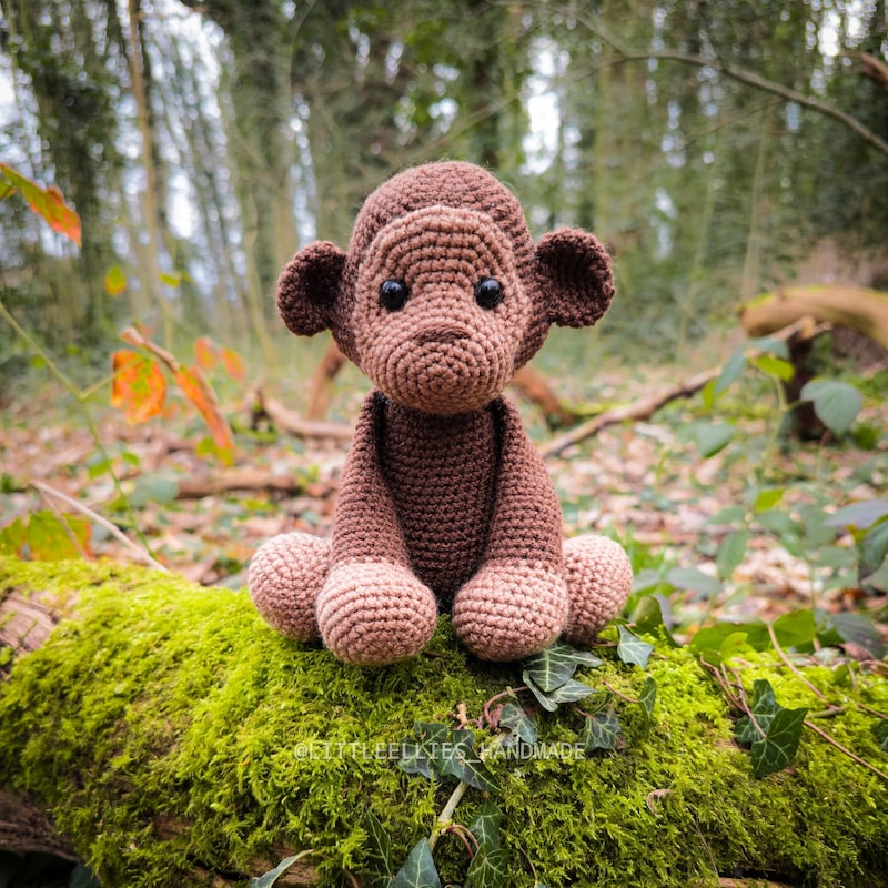 Monkey Cookies - Etsy