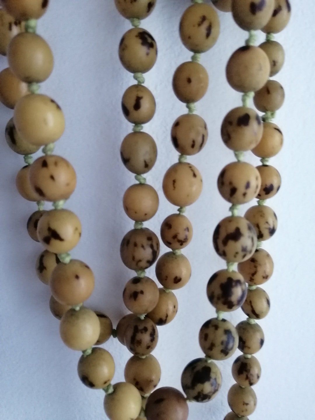 Excellent Acai Necklace Naturall Seeds Acai Palm Tree Olive Green Tiger ...