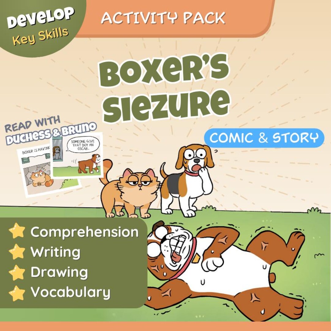 Boxer's Seizure Fun Activity Pack, Comprehension Questions, Colouring ...