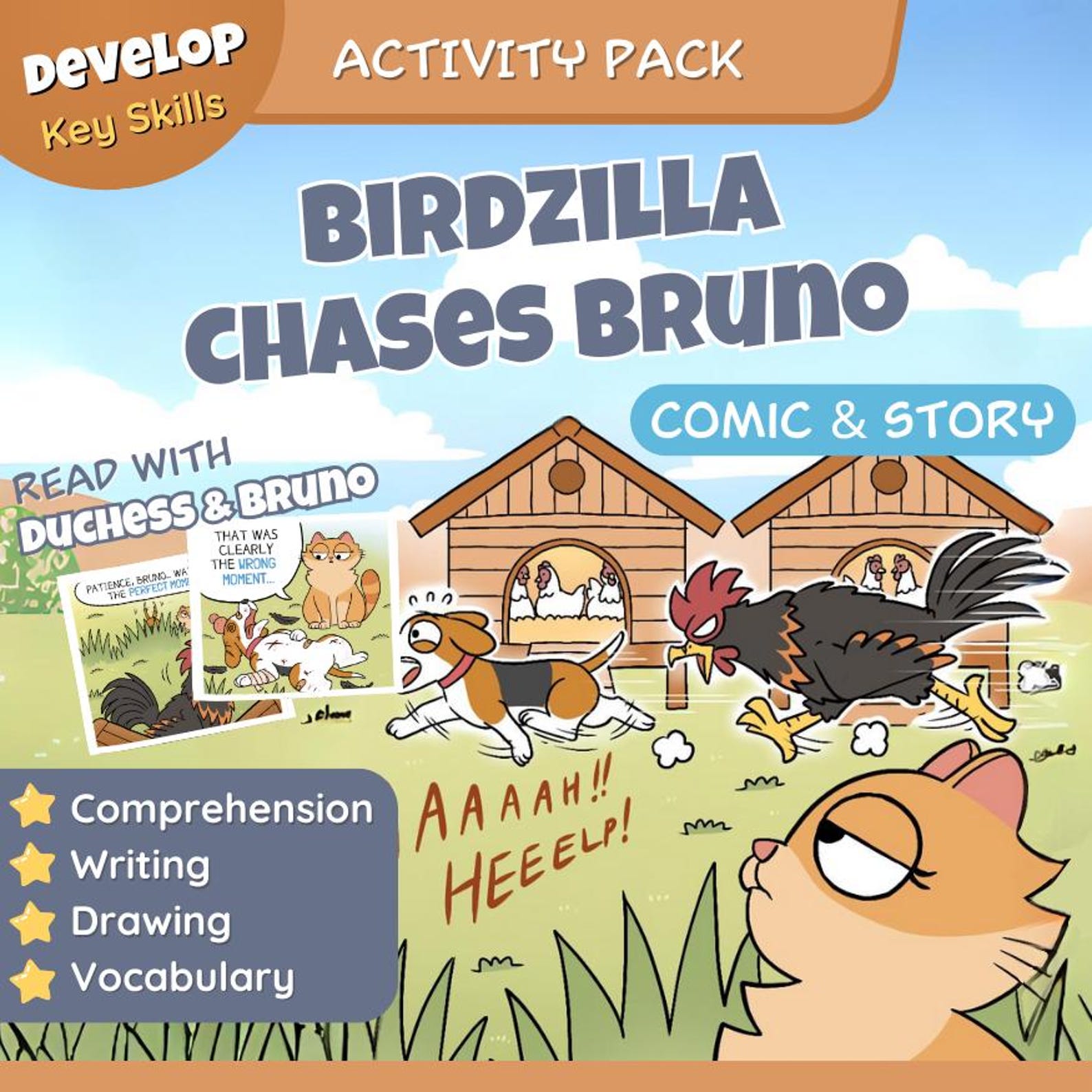 Birdzilla Chases Bruno Fun Activity Pack, Comprehension Questions ...