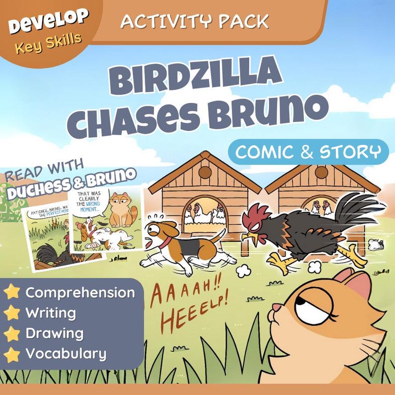 Birdzilla Chases Bruno Fun Activity Pack, Comprehension Questions ...