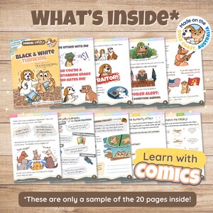 False Dilemma Fallacy Activity Pack: Fun Critical Thinking and ...