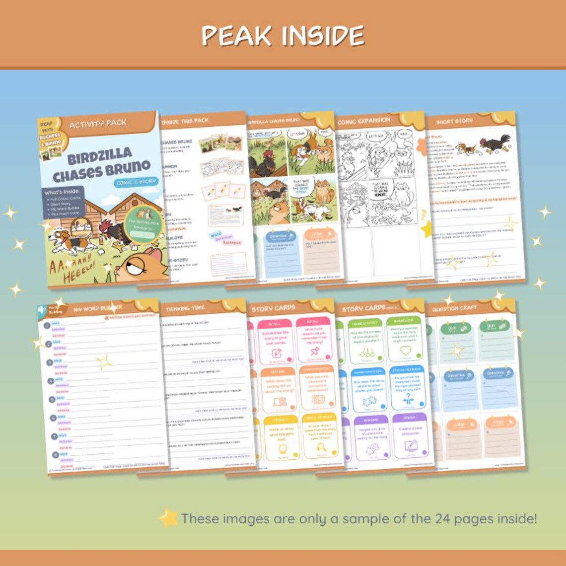 Birdzilla Chases Bruno Fun Activity Pack, Comprehension Questions ...