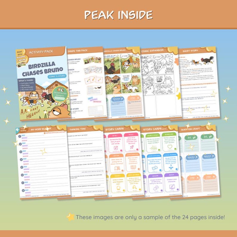 Birdzilla Chases Bruno Fun Activity Pack, Comprehension Questions ...