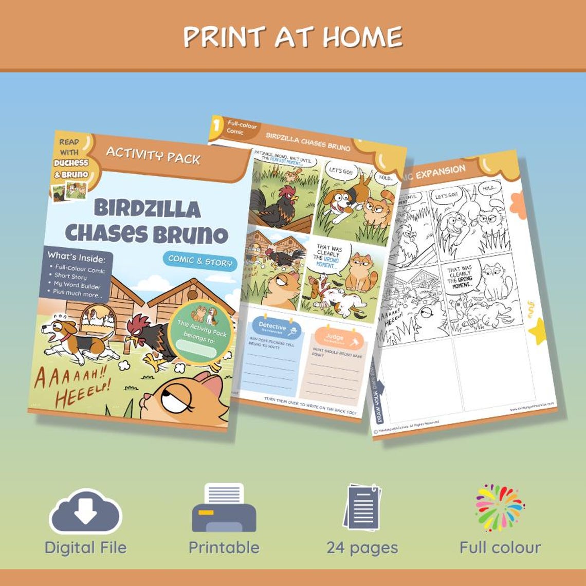 Birdzilla Chases Bruno Fun Activity Pack, Comprehension Questions ...
