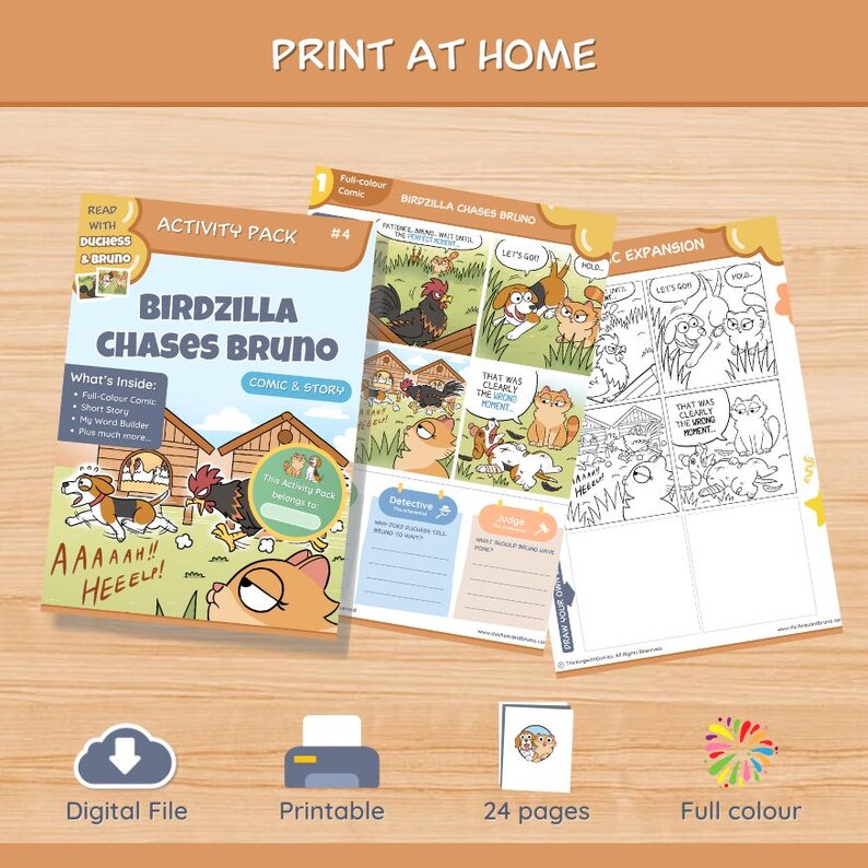 Birdzilla Chases Bruno Activity Pack Fun Comprehension Questions ...