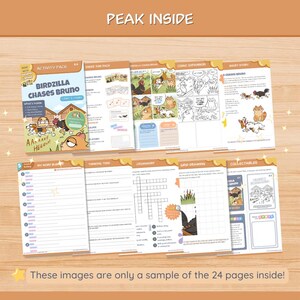 Birdzilla Chases Bruno Activity Pack Fun Comprehension Questions ...