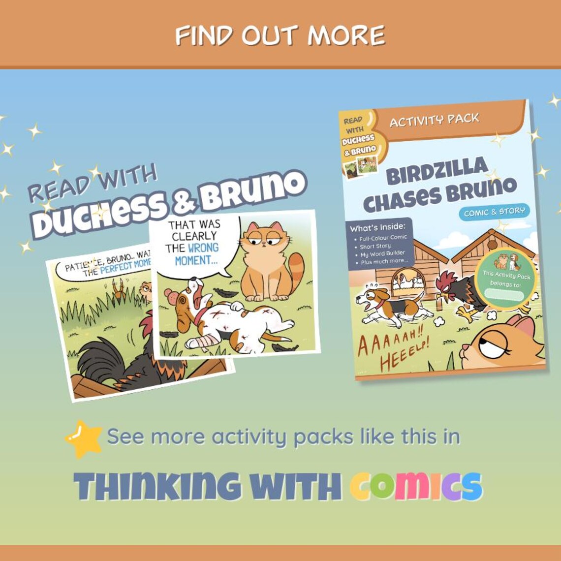 Birdzilla Chases Bruno Fun Activity Pack, Comprehension Questions ...