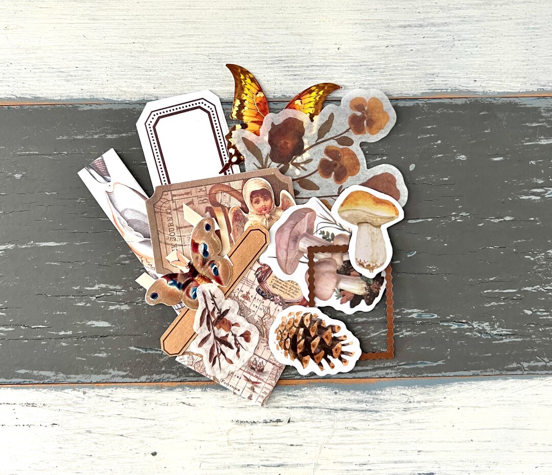 Tiny Brown Journaling Pack / Paper Ephemera / Junk Journaling Supplies ...