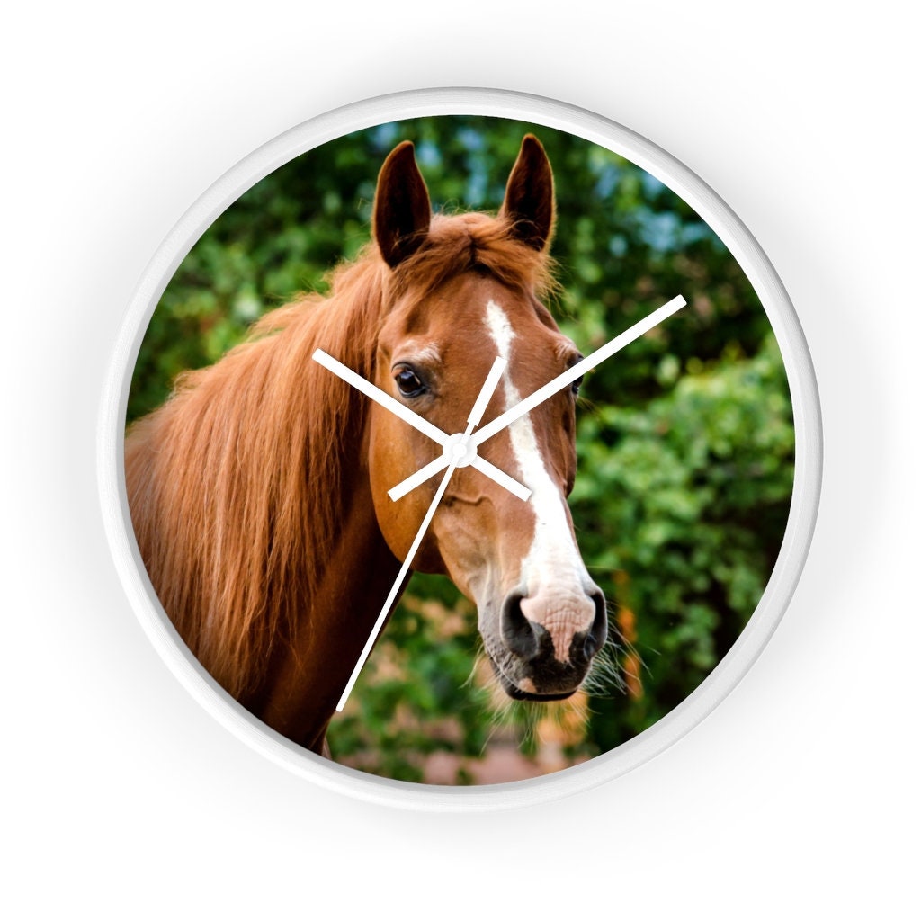 Pet Photo Clock Custom Wall Clock PERSONALIZED Photo Clock - Etsy