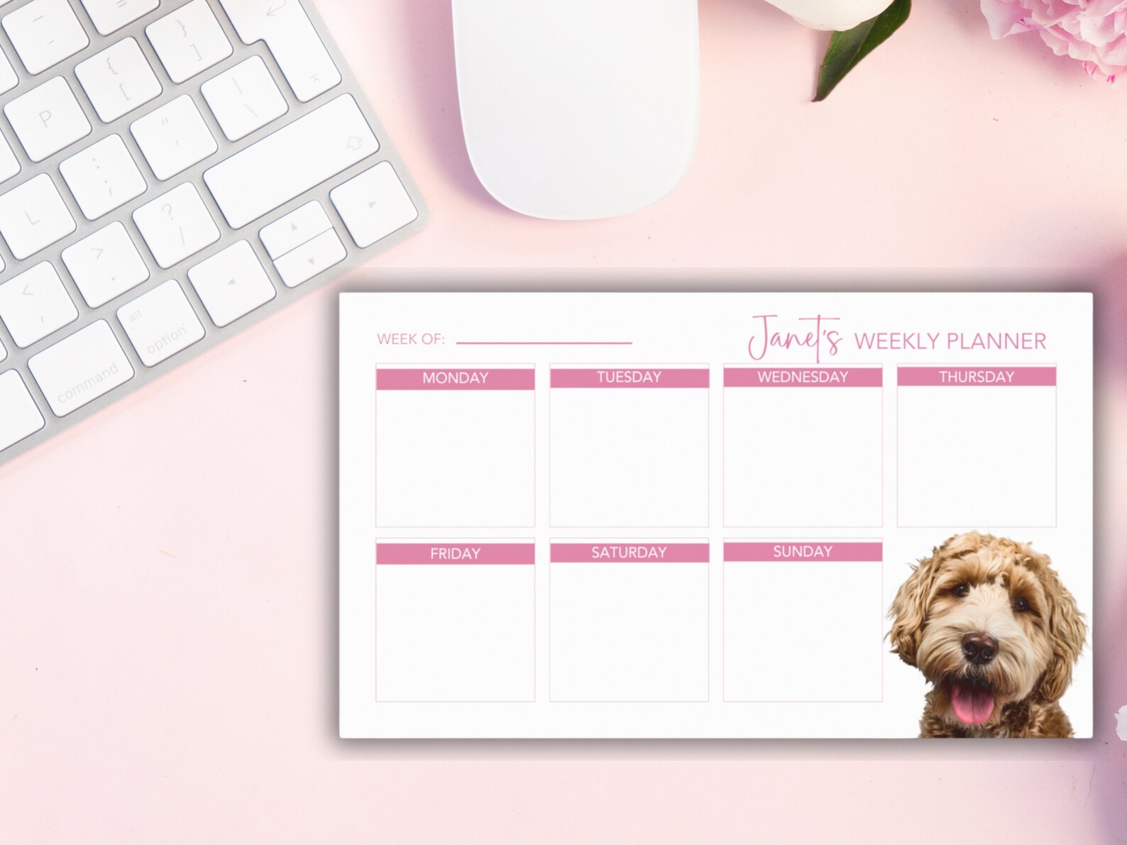 Custom Pet Photo Post-it Note Planner, 10 X 6-inches, Weekly Planner ...
