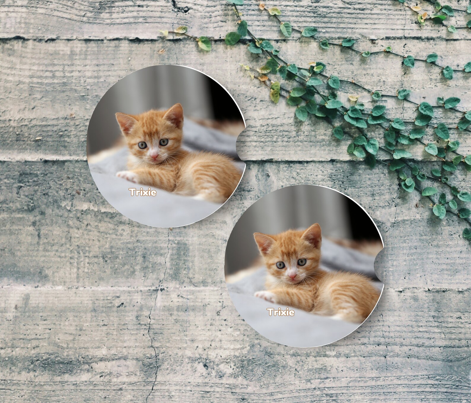Car Coasters With YOUR Cat's Name & Photo, Absorbent Cat Car Coasters ...