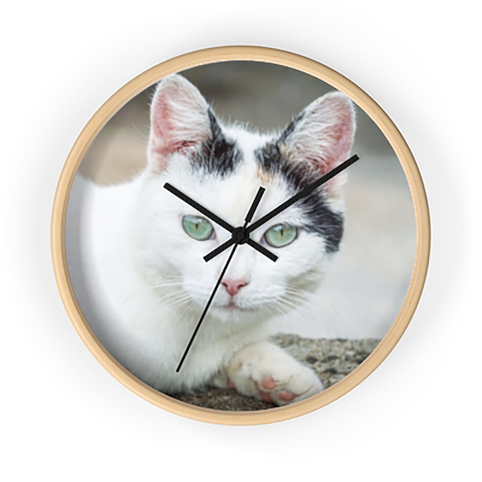 Pet Photo Clock Custom Wall Clock PERSONALIZED 10-inch - Etsy