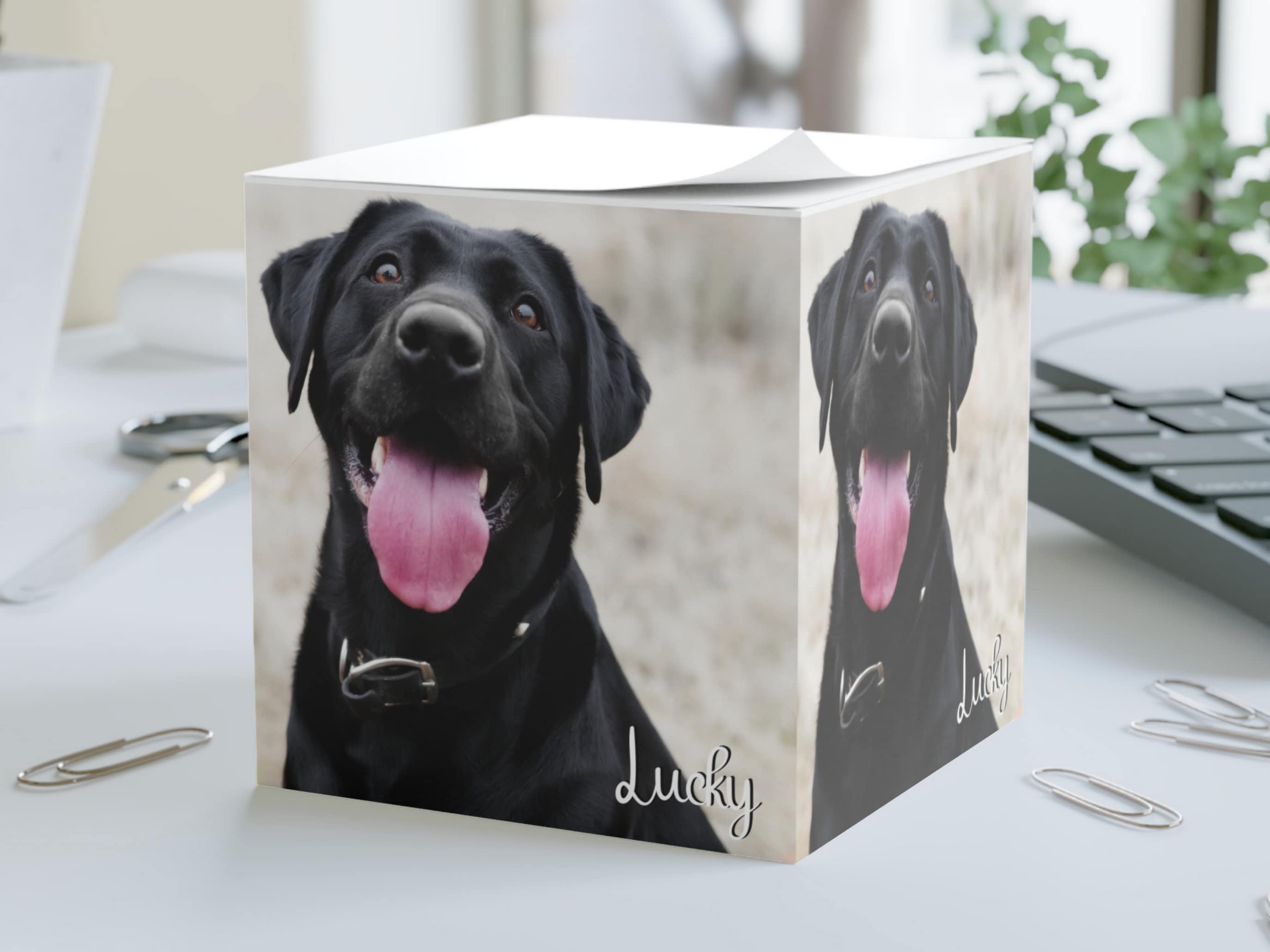 Note Cube With Your Pup's Photo, Personalized Paper Note Cube, Gift for ...