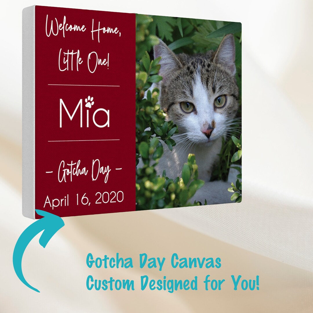 Custom Cat Canvas Art, Welcome Home Cat Rescue/adoption Canvas, Pet ...