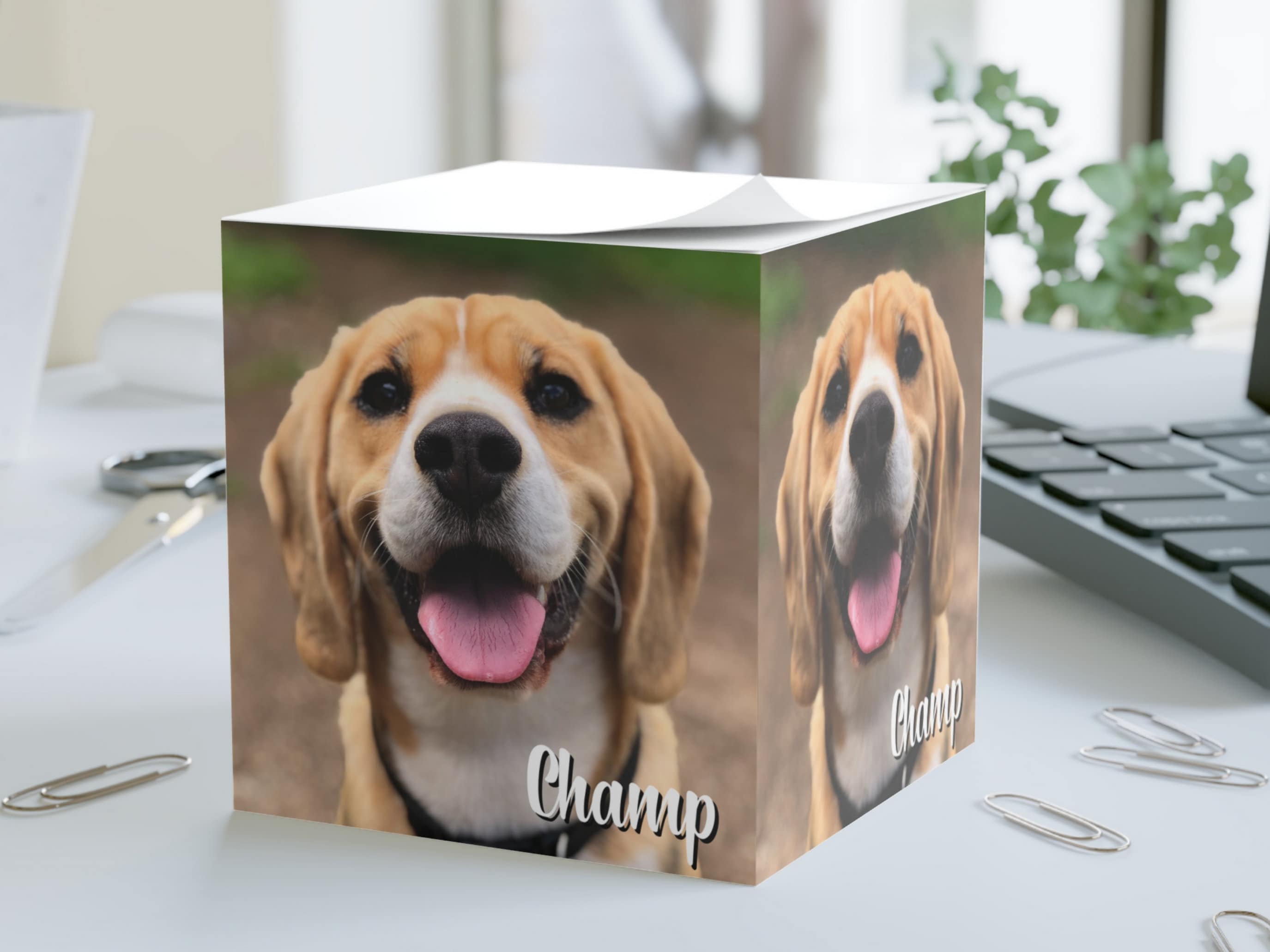 Note Cube With Your Pup's Photo, Personalized Paper Note Cube, Gift for ...