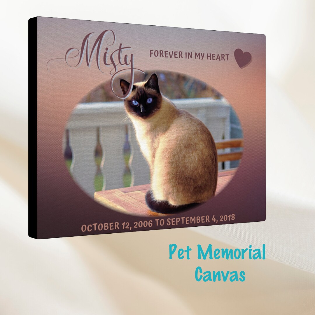 Pet Memorial Canvas, Cat Memorial Gift, Pet Loss Canvas, in Memory of ...